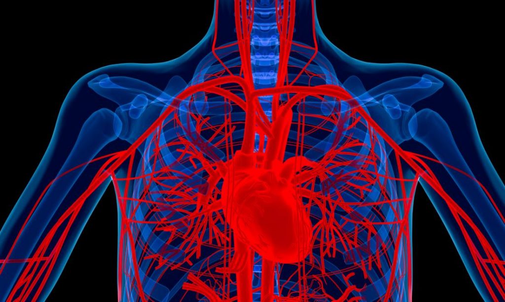 Angiogram – Blood Bank For You